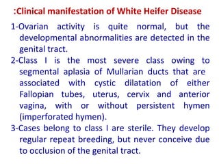 Hereditary causes of infertility 2 | PPS
