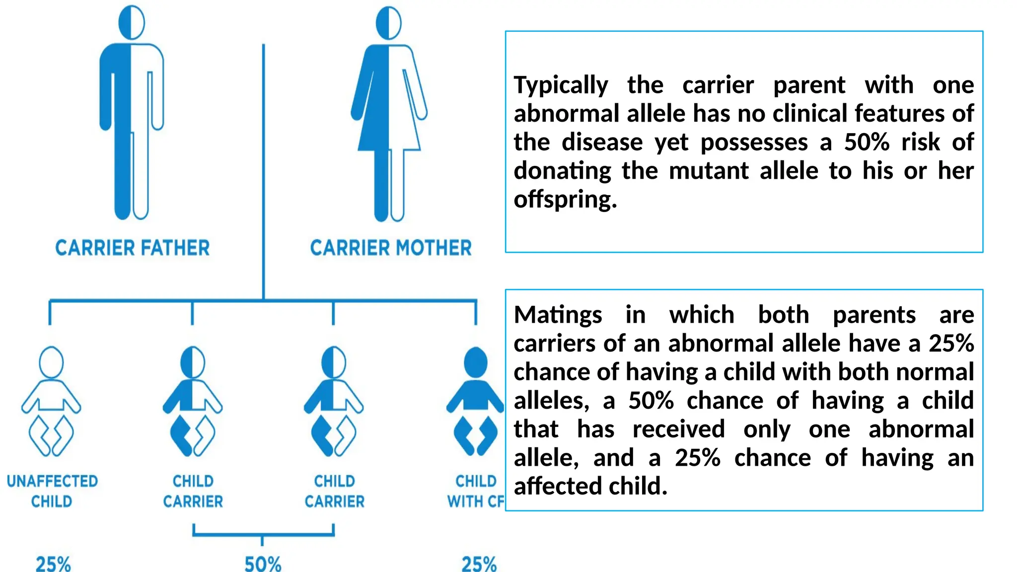 Hereditary Disorders-autosomal recessive diseasex | PPTX | Blood ...