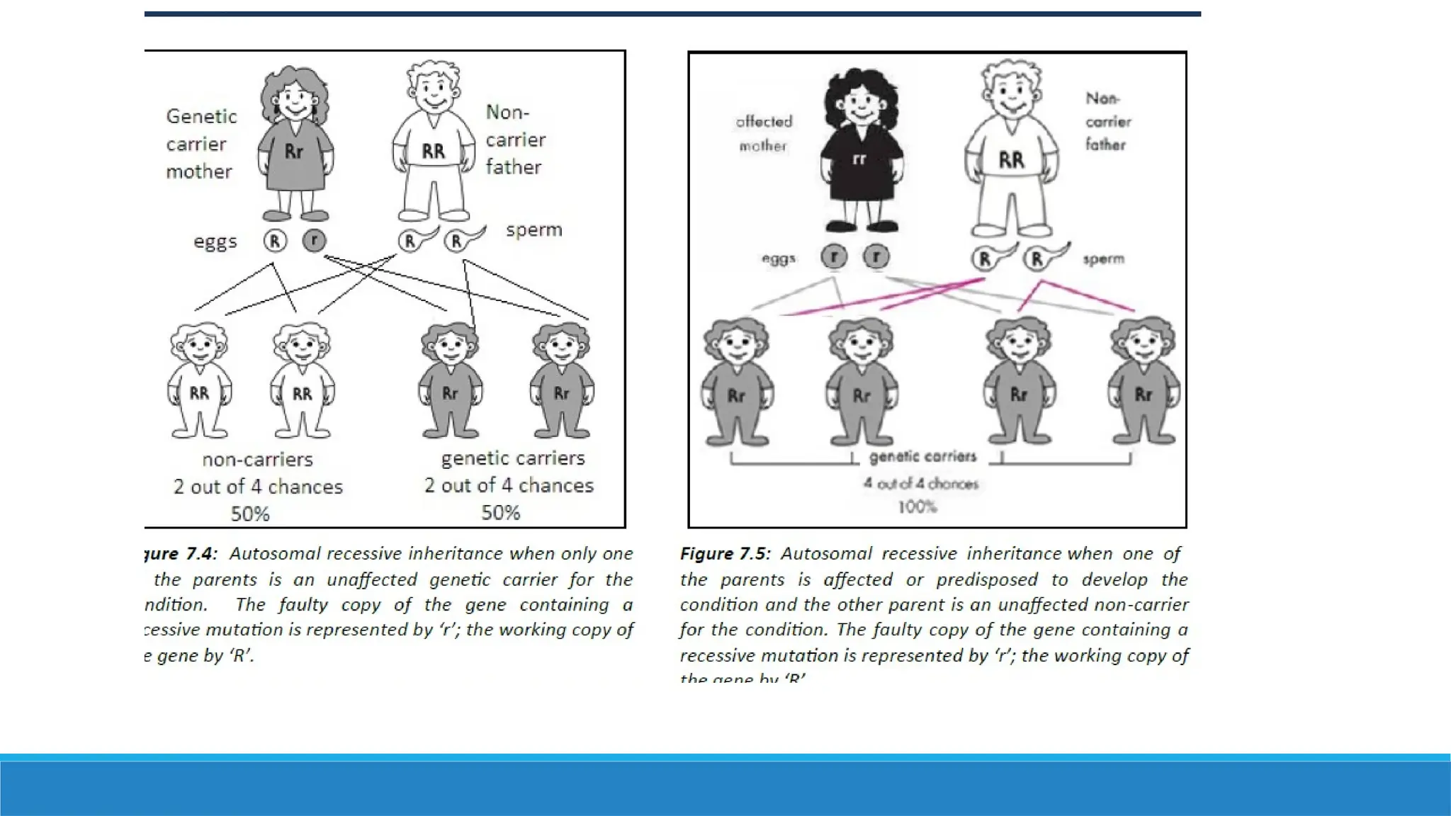 Hereditary Disorders-autosomal recessive diseasex | PPTX | Blood ...