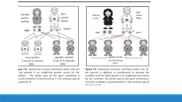 Hereditary Disorders-autosomal recessive diseasex | PPTX | Blood ...