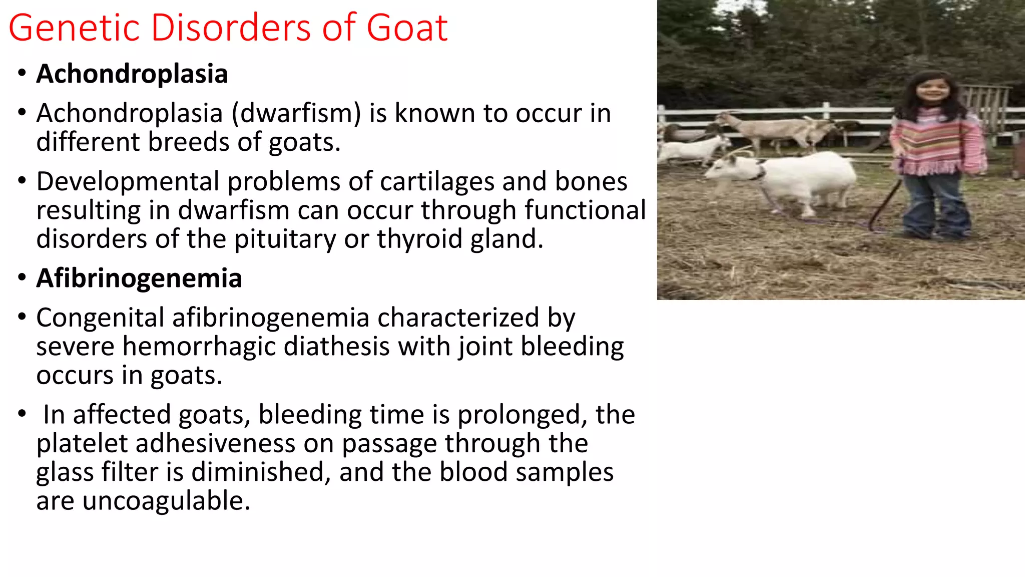 Hereditary and genetic diseases | PPTX