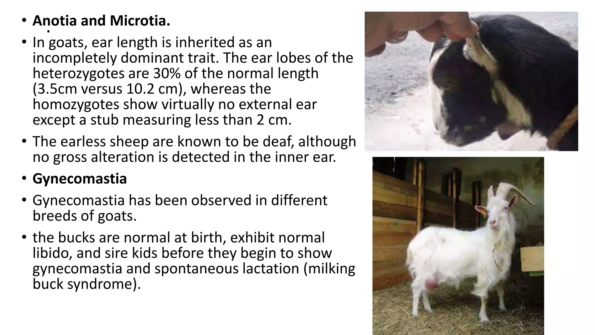 Hereditary and genetic diseases | PPTX