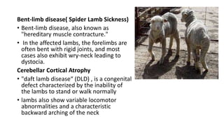 Hereditary and genetic diseases | PPTX