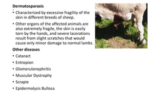 Hereditary and genetic diseases | PPTX