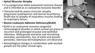 Hereditary and genetic diseases | PPTX