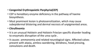 Hereditary and genetic diseases | PPTX
