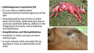 Hereditary and genetic diseases | PPTX