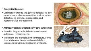 Hereditary and genetic diseases | PPTX