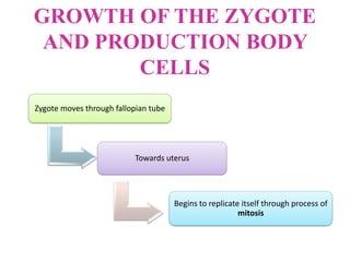 Hereditary influences on development | PPTX