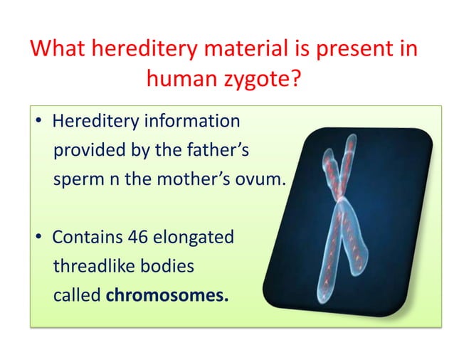 Hereditary influences on development | PPT