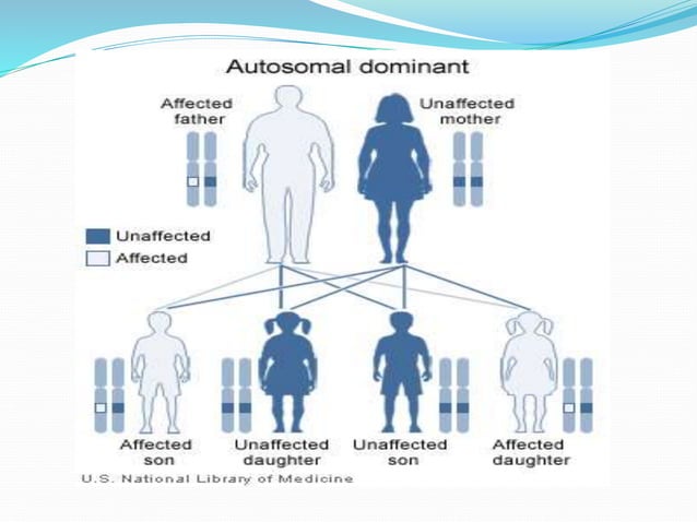 Hereditary motor and sensory neuropathy | PPTX | Brain and Nervous ...