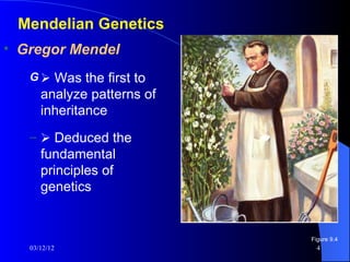 Hereditary patterns | PPT