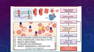 Hereditary spherocytosis.pptx