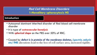 Hereditary Spherocytosis -HS | PDF