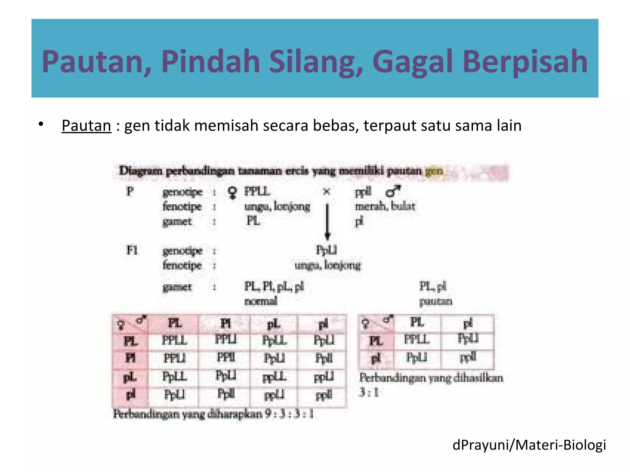 Hereditas | PPT