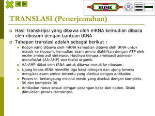 Hereditas dan Sintesis Protein | PPTX