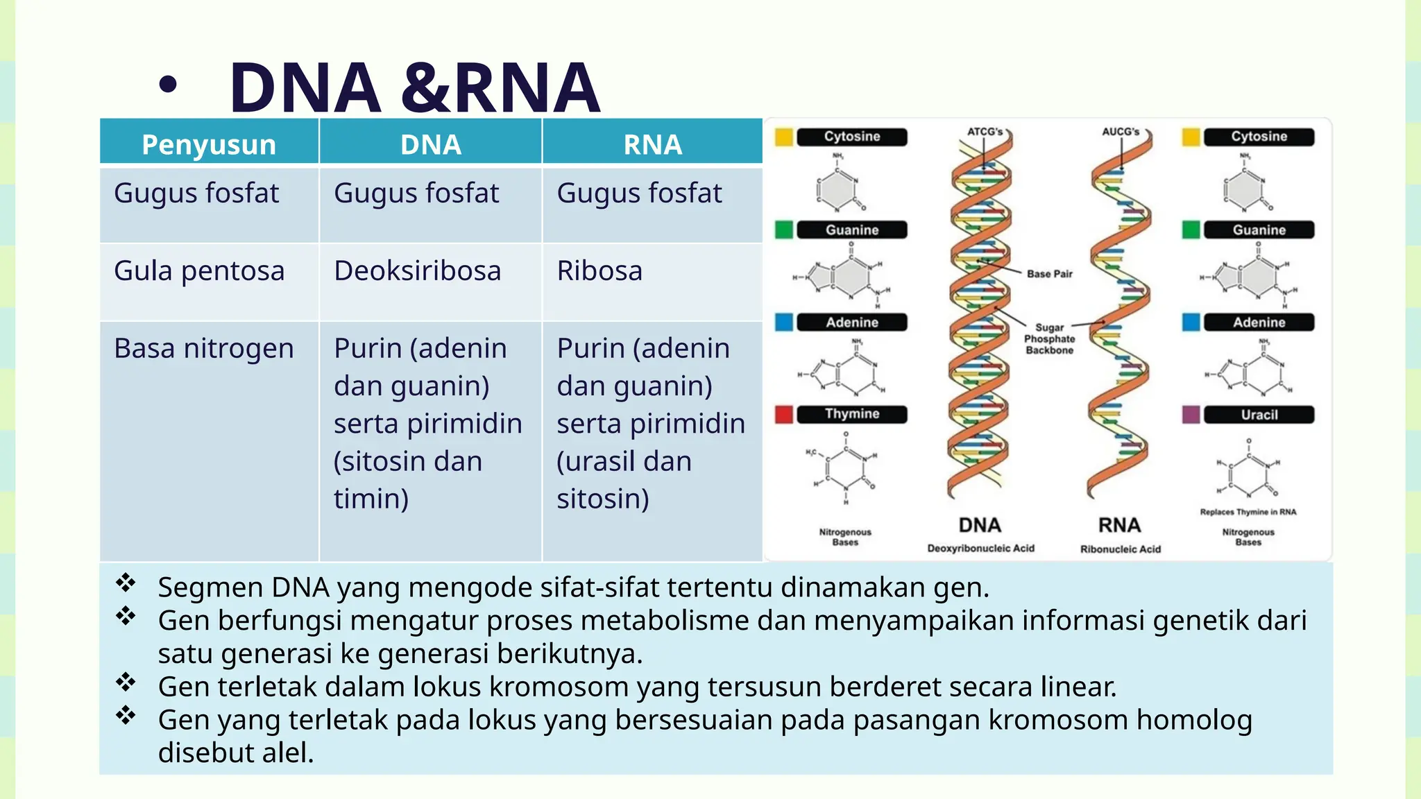Hereditas kelas 9 smp kurikulum merdeka | PPTX