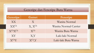 hereditas buta warna.pptx