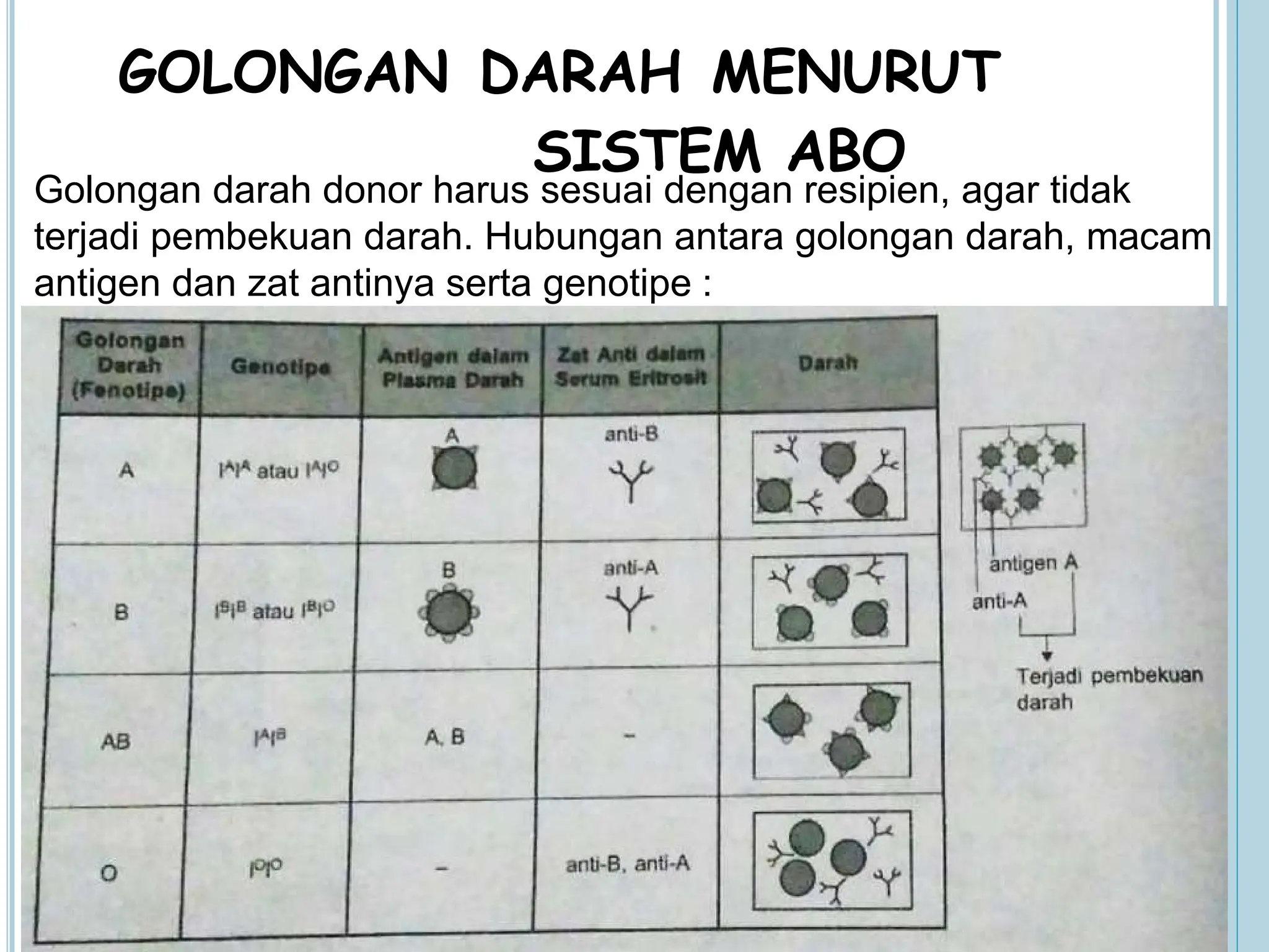 HEREDITAS MANUSIA MAKHLUK HIDUP NEW.pptx