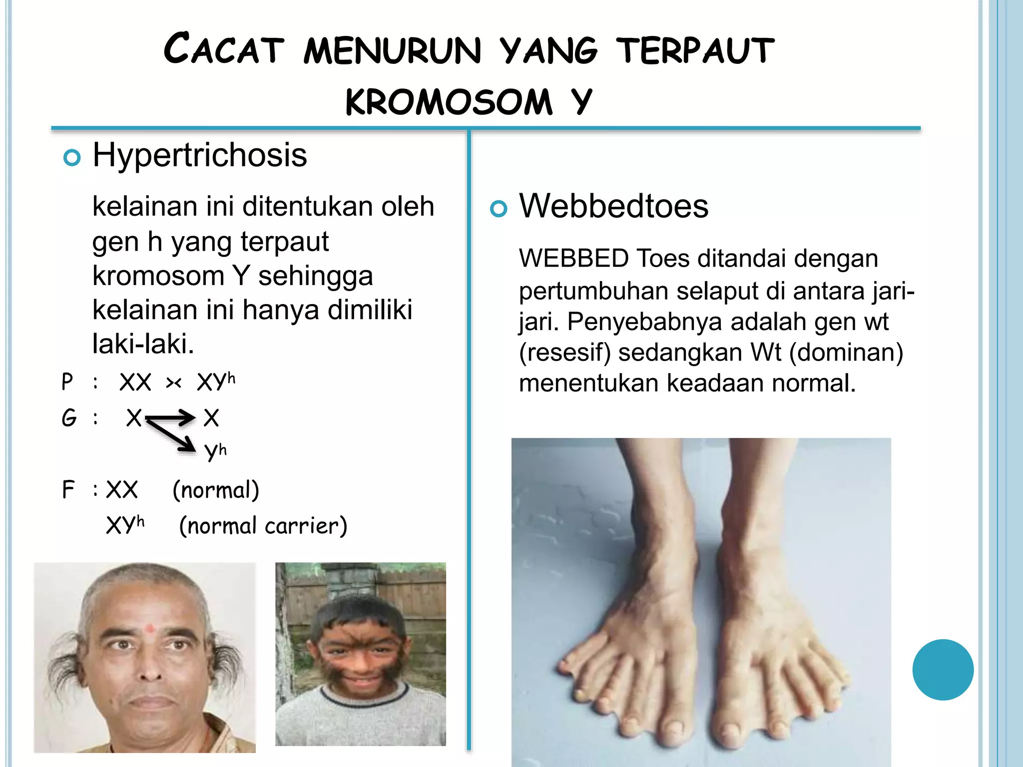 Hereditas pada mansia | PPTX