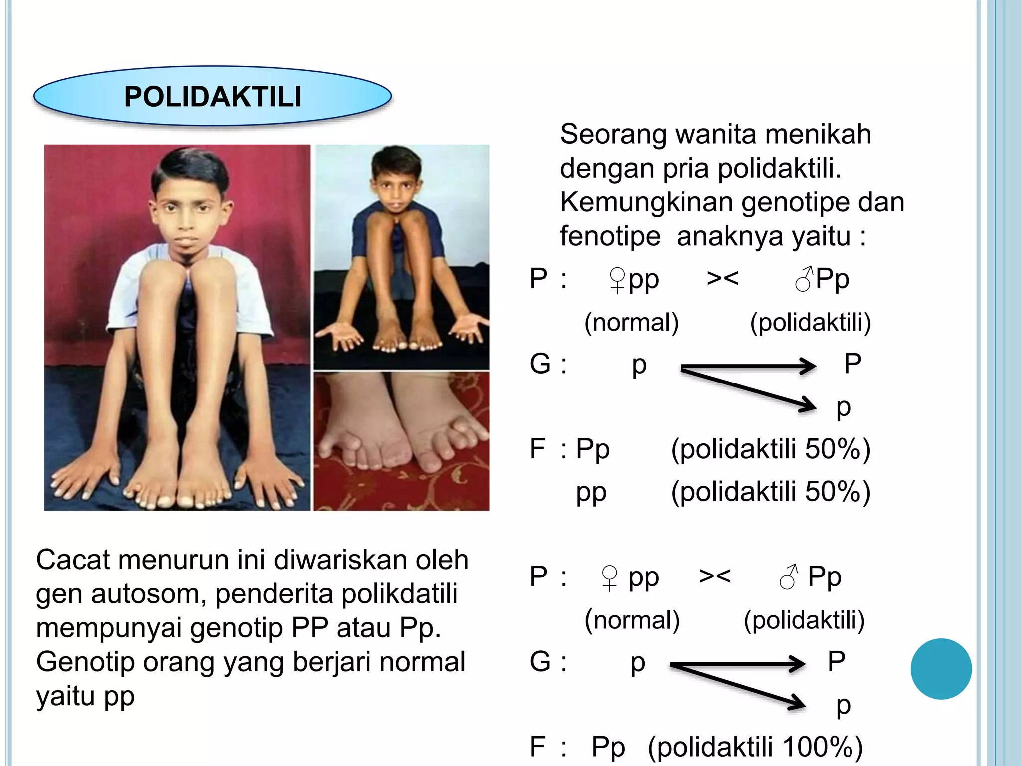 Hereditas pada mansia | PPTX