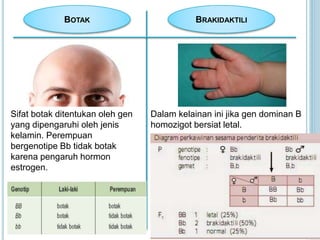 Hereditas pada mansia | PPTX
