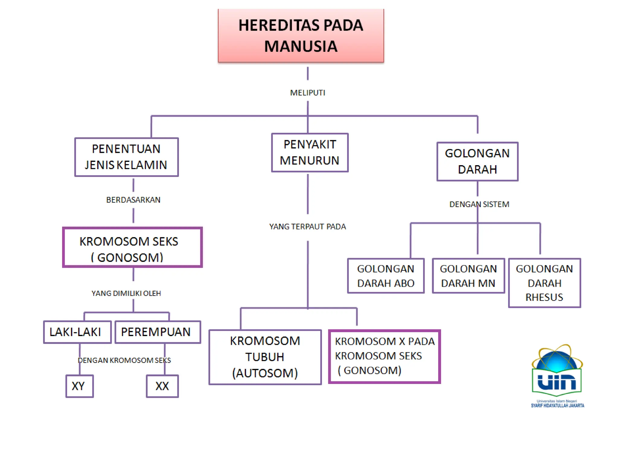 HEREDITAS MANUSIA_PD.pptx