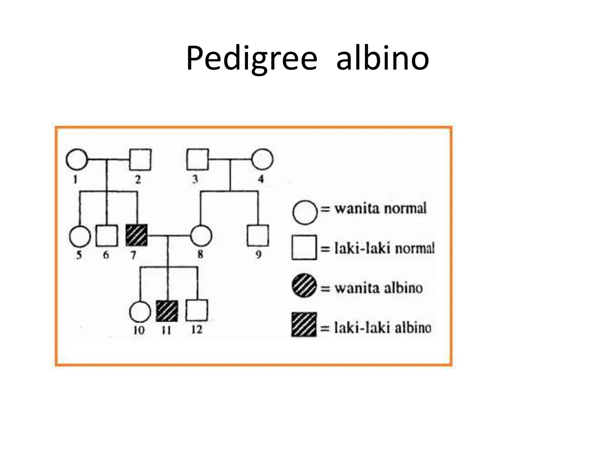 HEREDITAS MANUSIA_PD.pptx