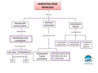 HEREDITAS MANUSIA_PD.pptx