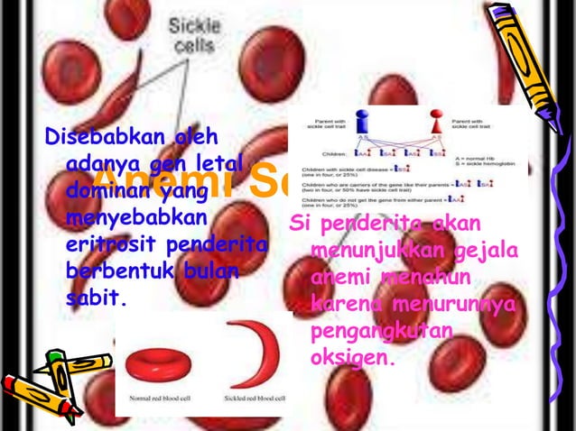 hereditas_manusia_ppt.pptx