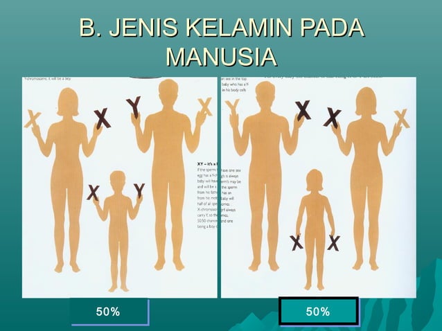 Hereditas pada manusia | PPT
