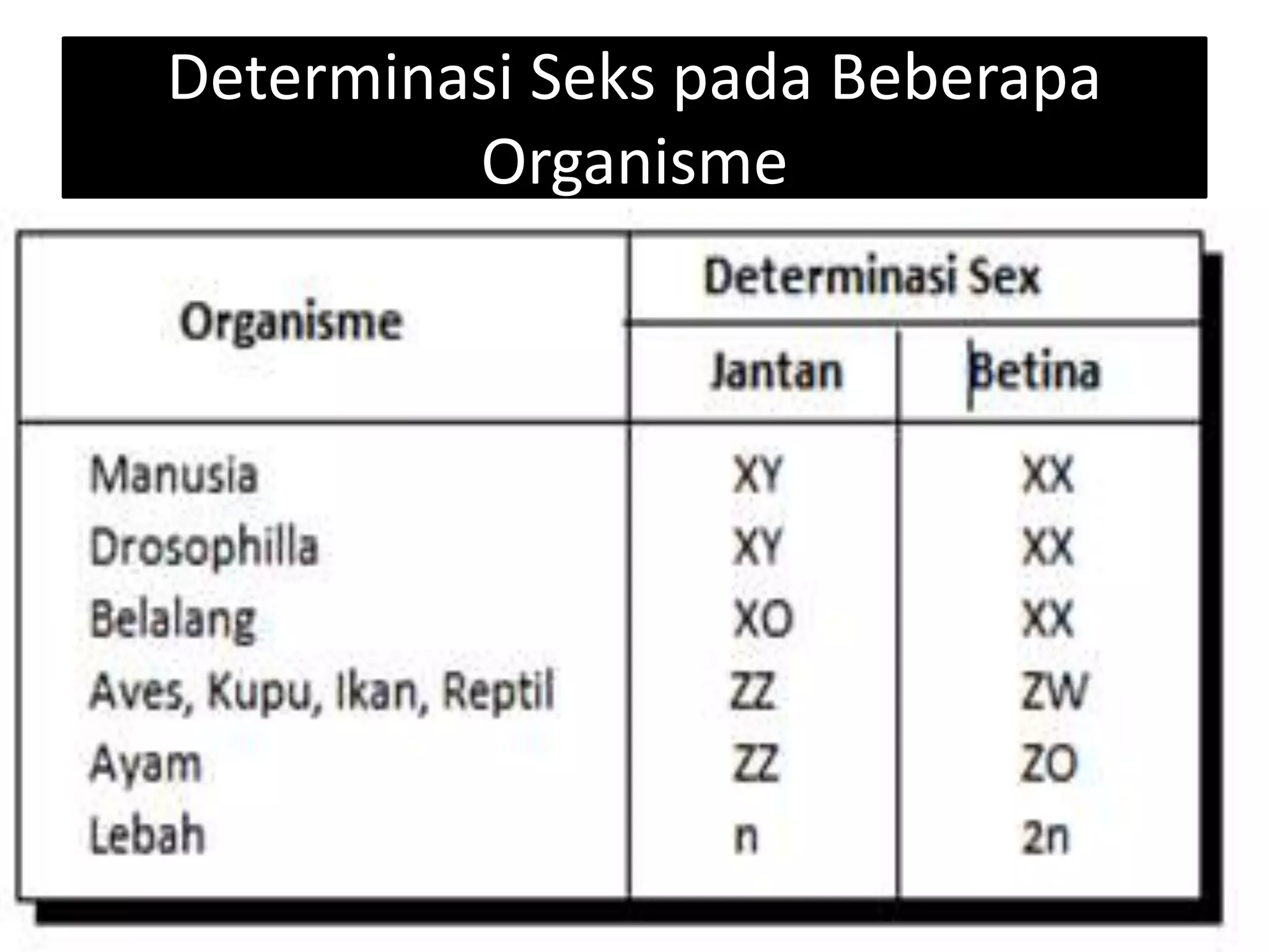 Hereditas pada manusia | PPTX