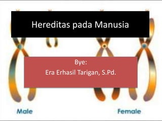 Hereditas pada manusia | PPTX