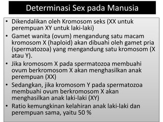 Hereditas pada manusia | PPTX