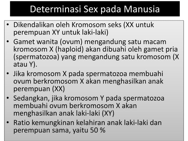 Hereditas pada manusia | PPTX