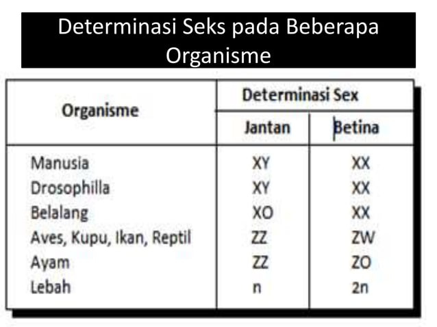 Hereditas pada manusia | PPTX