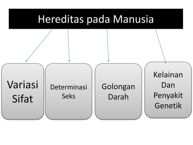 Hereditas pada manusia | PPTX