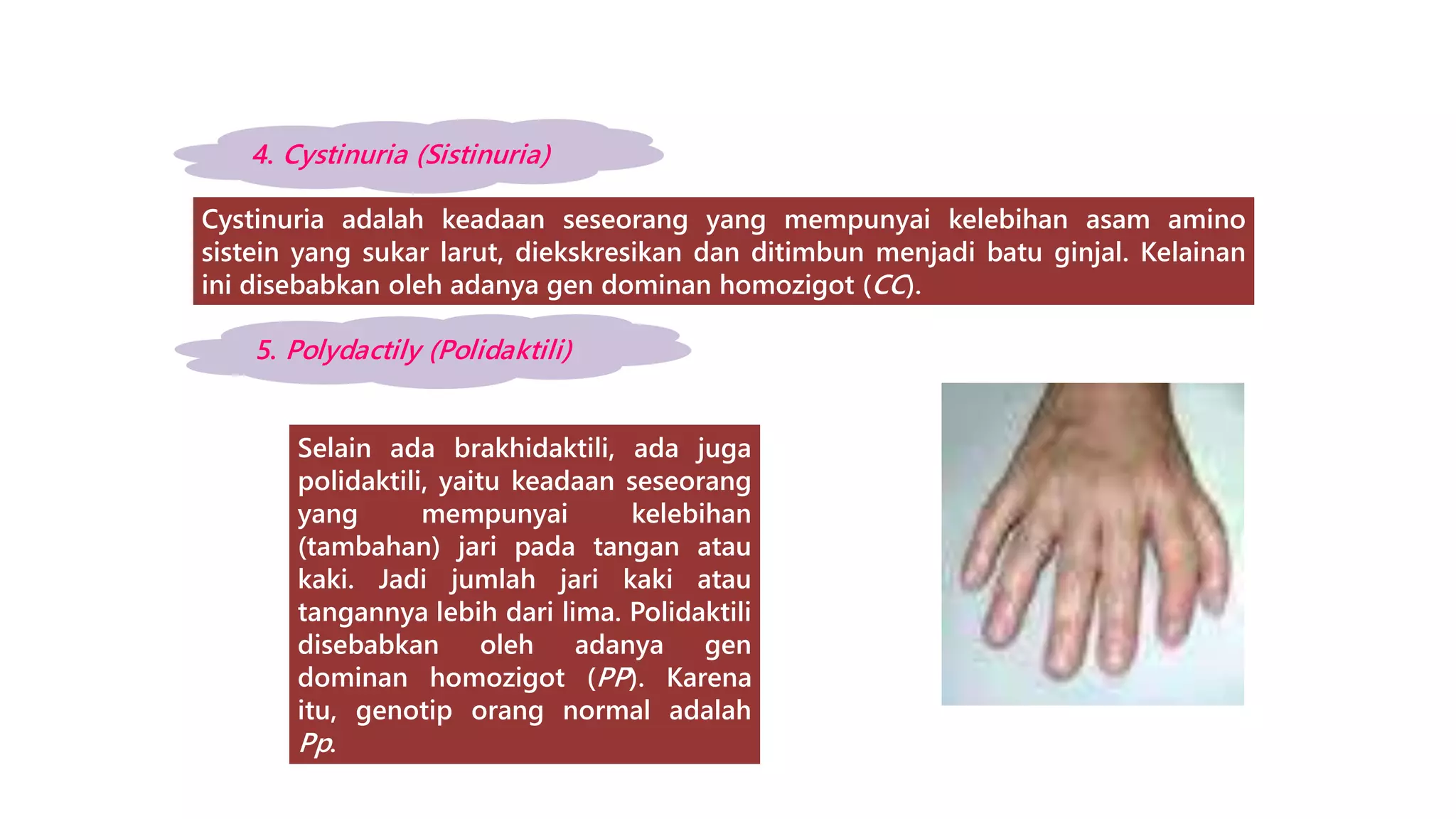 hereditas pada manusia.pptx