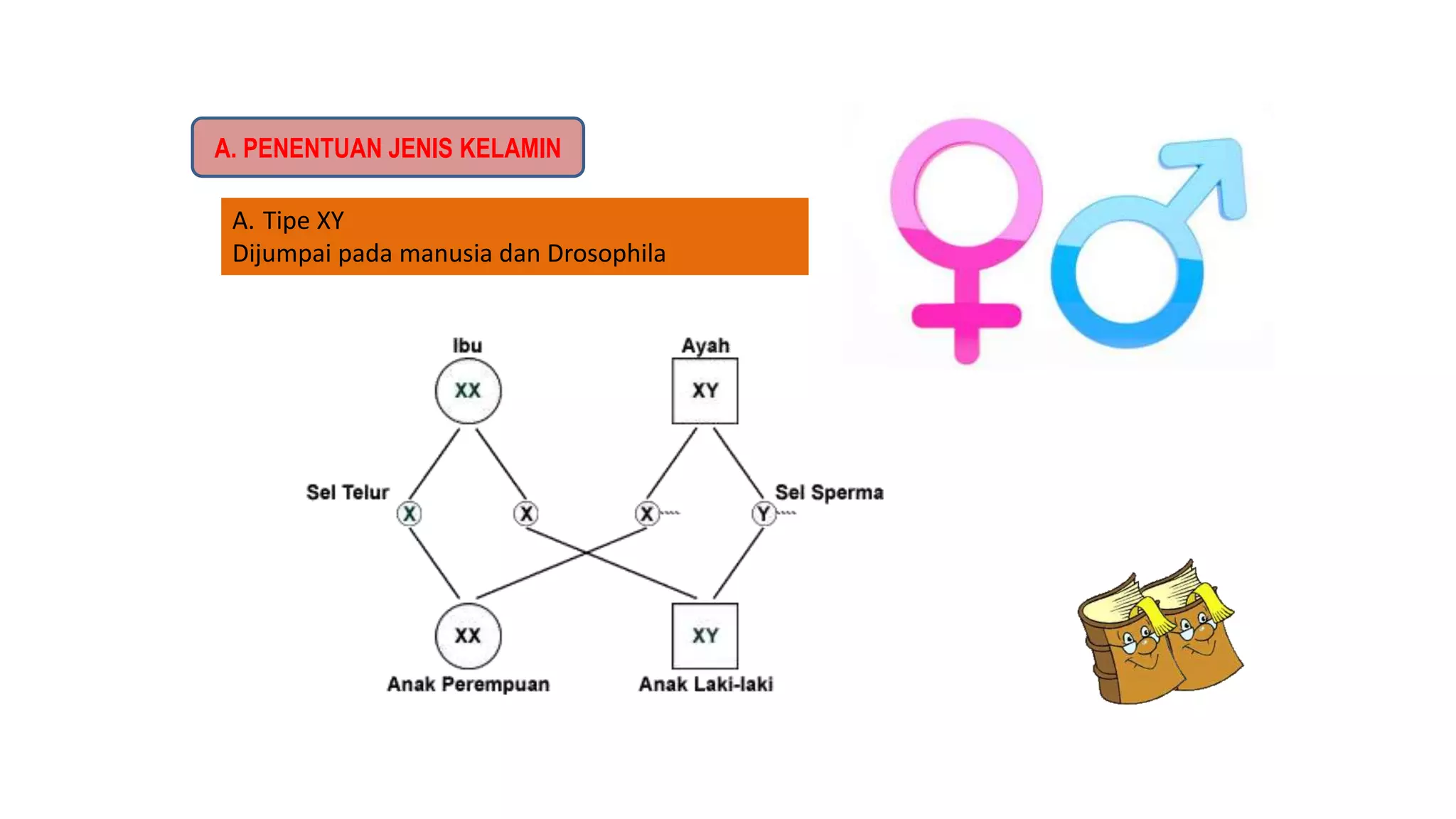 hereditas pada manusia.pptx