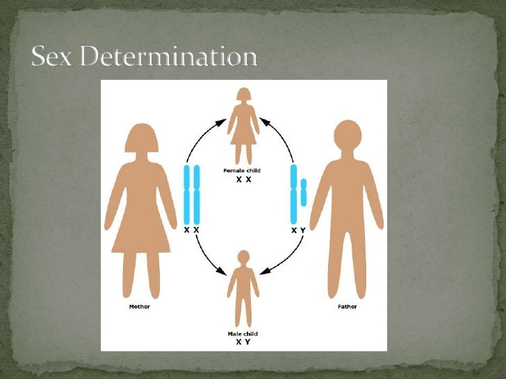 Heredity Wikipedia