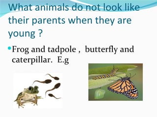 Heredity ^ ^ | PPT