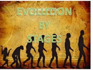 Evolution By Stages | PPTX | Genetics | Science