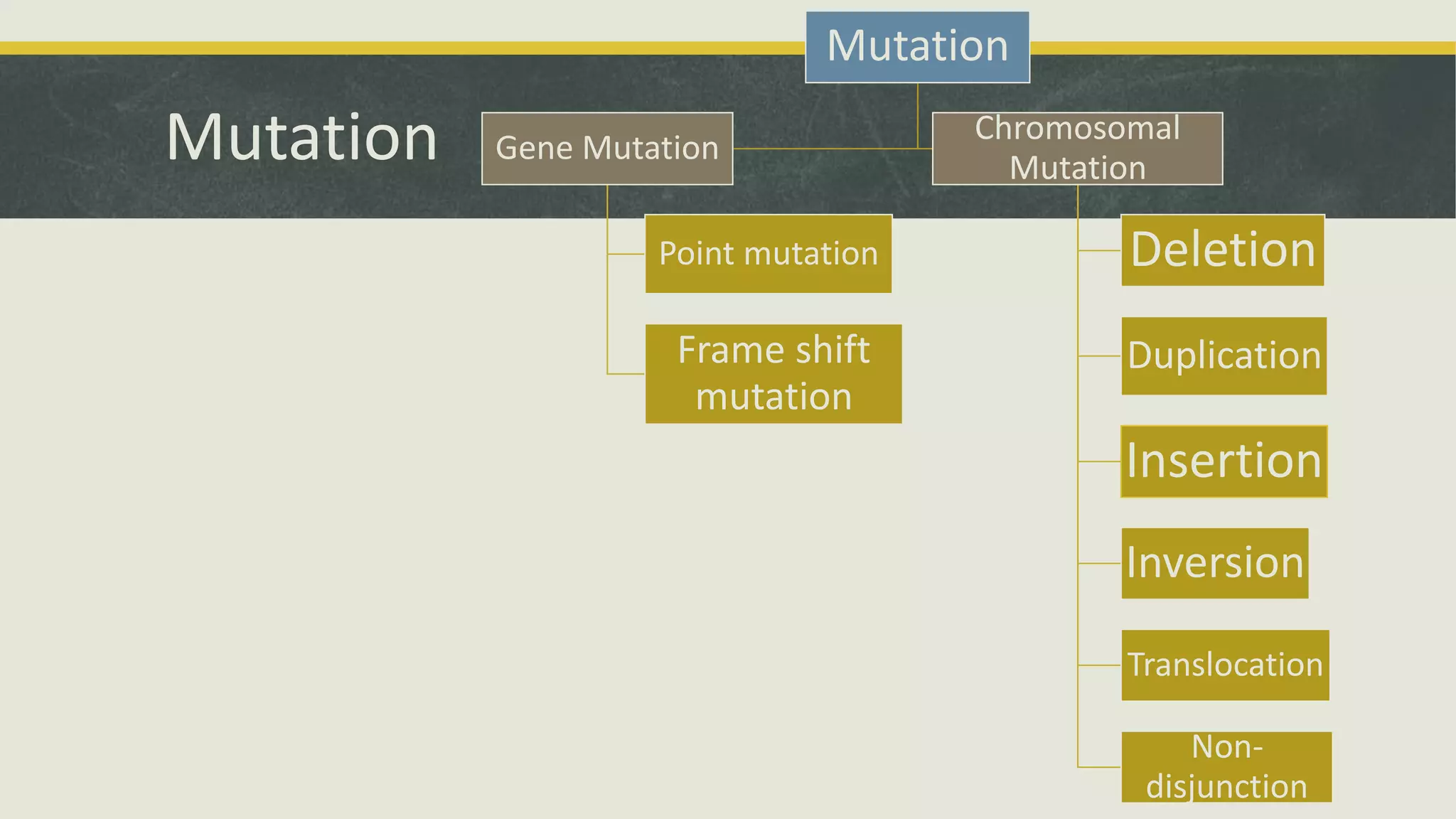 Heredity Science Grade 10 3rd Quarter | PPTX