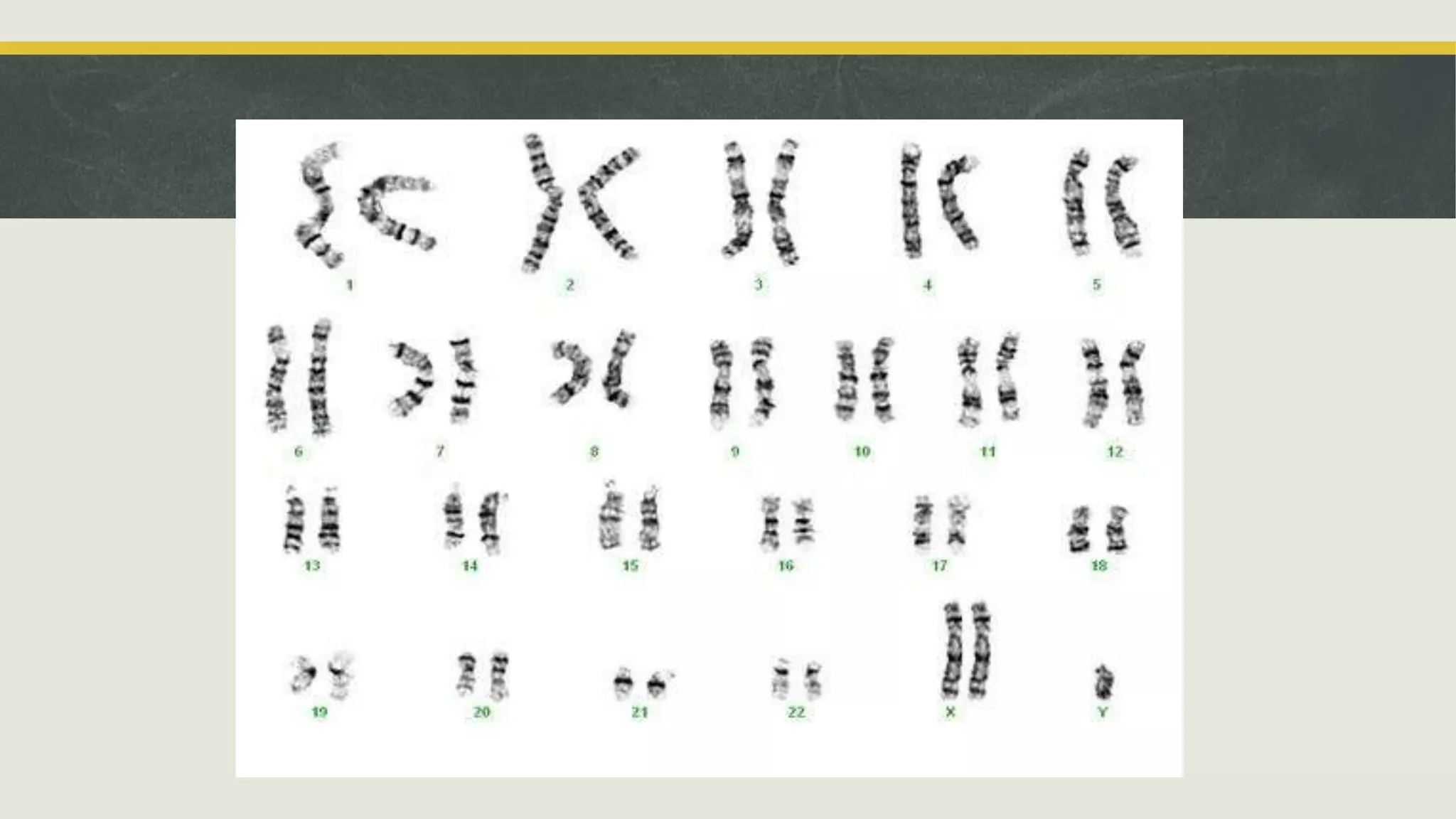 Heredity Science Grade 10 3rd Quarter | PPTX
