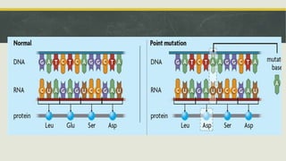 Heredity Science Grade 10 3rd Quarter | PPTX