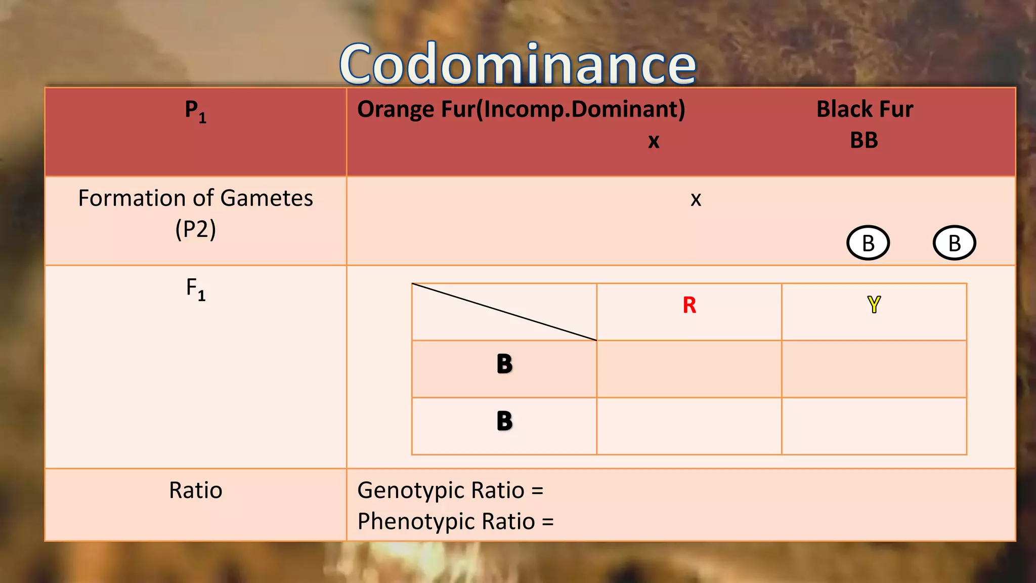 Heredity Genes Chromosomes Solving A Punnett Square And Non Mendelian Inheritance Pptx