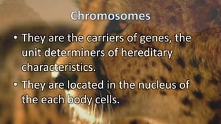 Heredity - Genes, Chromosomes, Solving a Punnett Square and Non ...