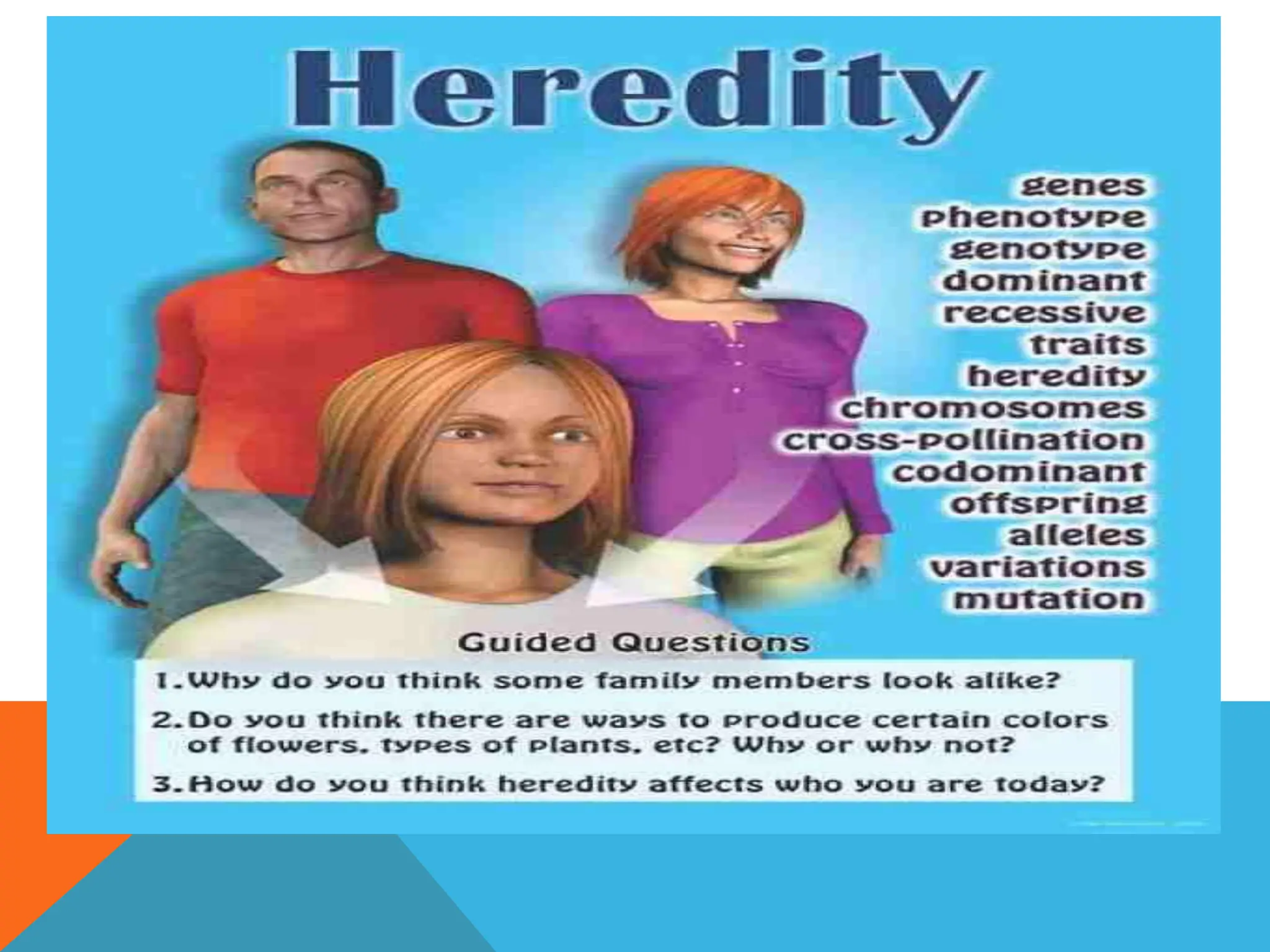 HEREDITY is the transmission of genes from parent to offspring. | PPTX