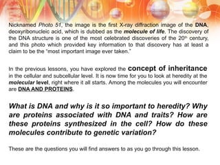 Heredity: Inheritance and Variation: The Molecular Basis of Life | PPTX