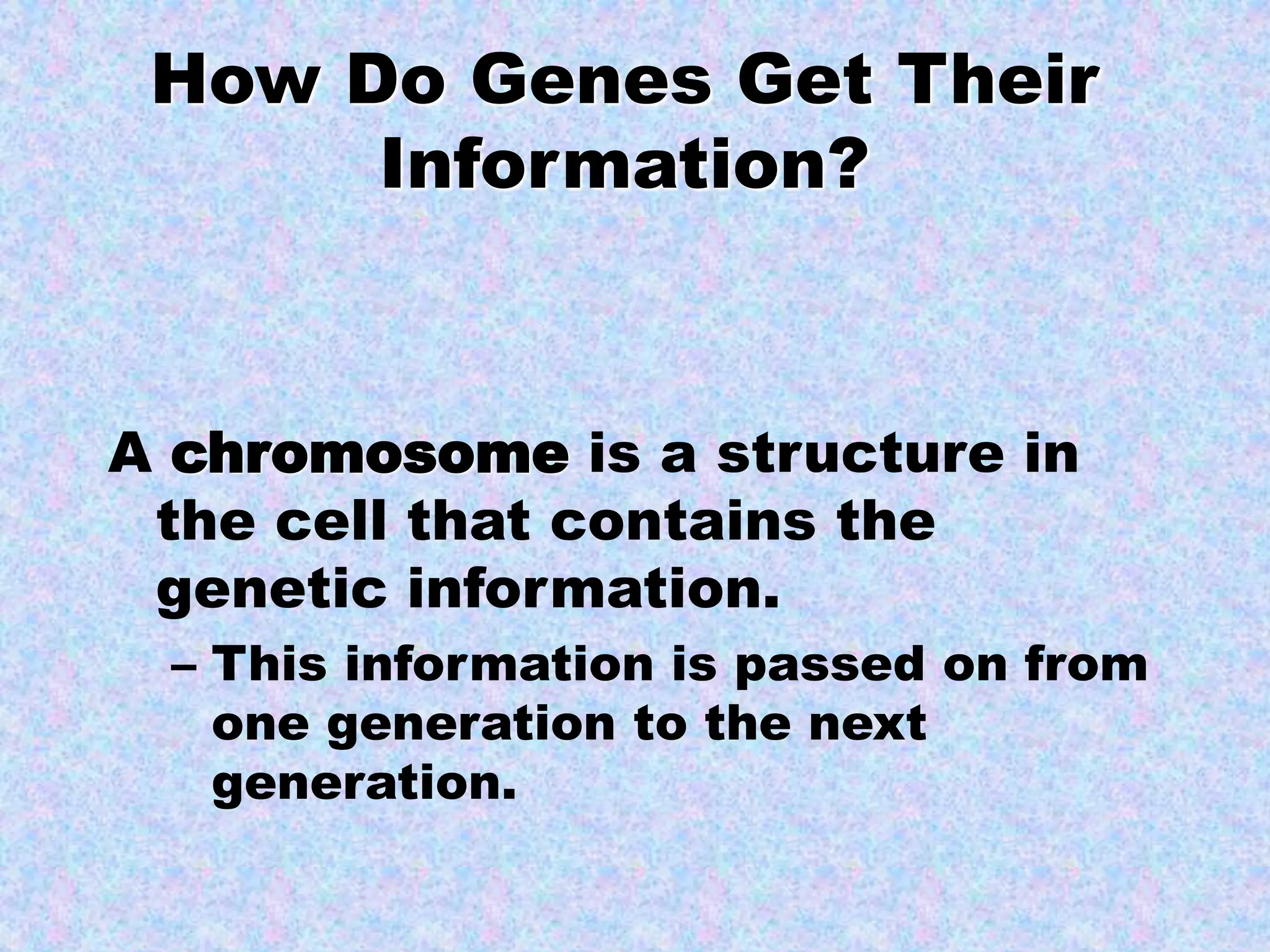 Heredity-and-Genetics-PowerPoint.ppt | Genetics | Science